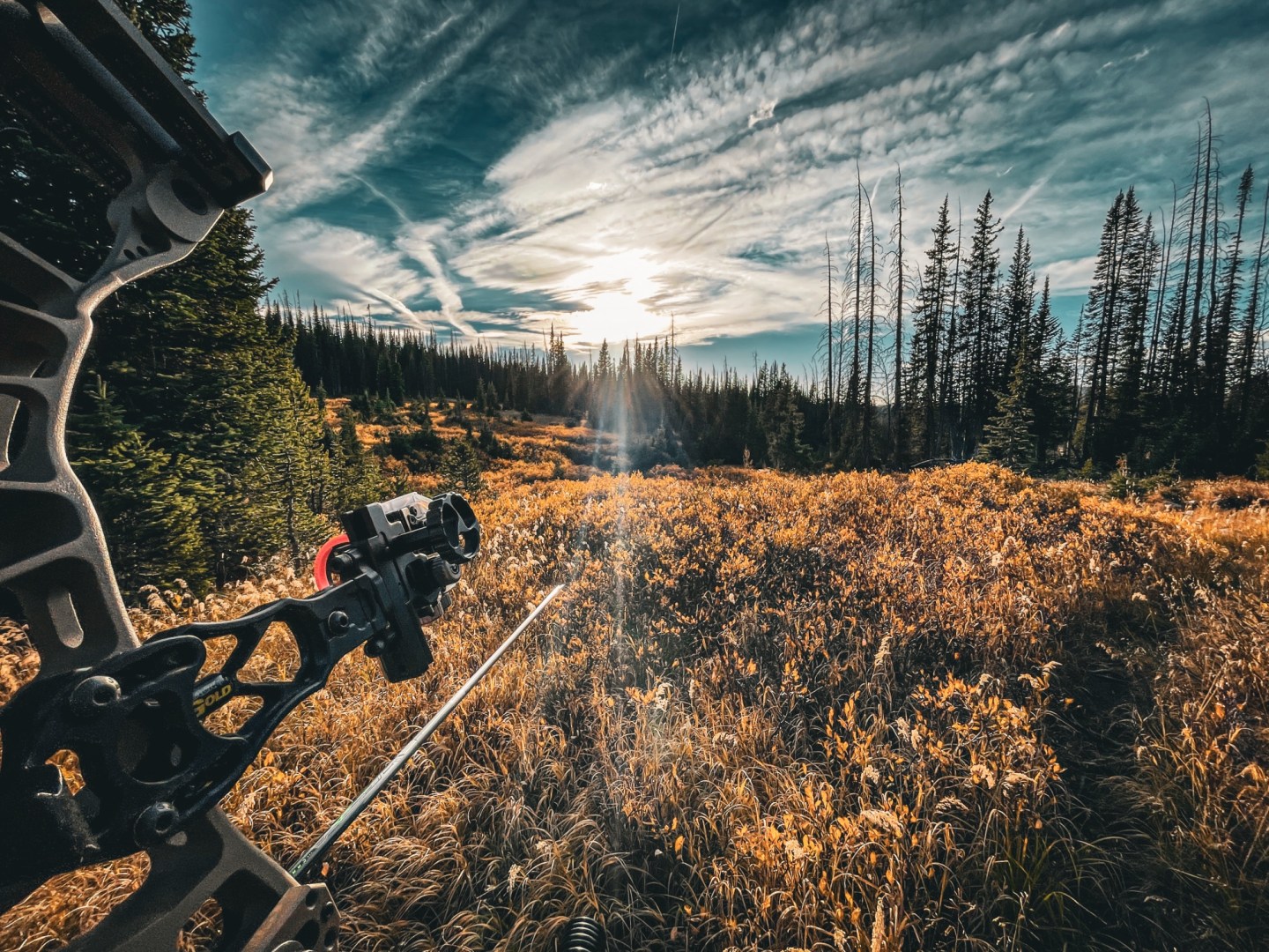 My Hoyt Bow Setup for Western Hunting & 3D Shooting: What I Run and Why ...
